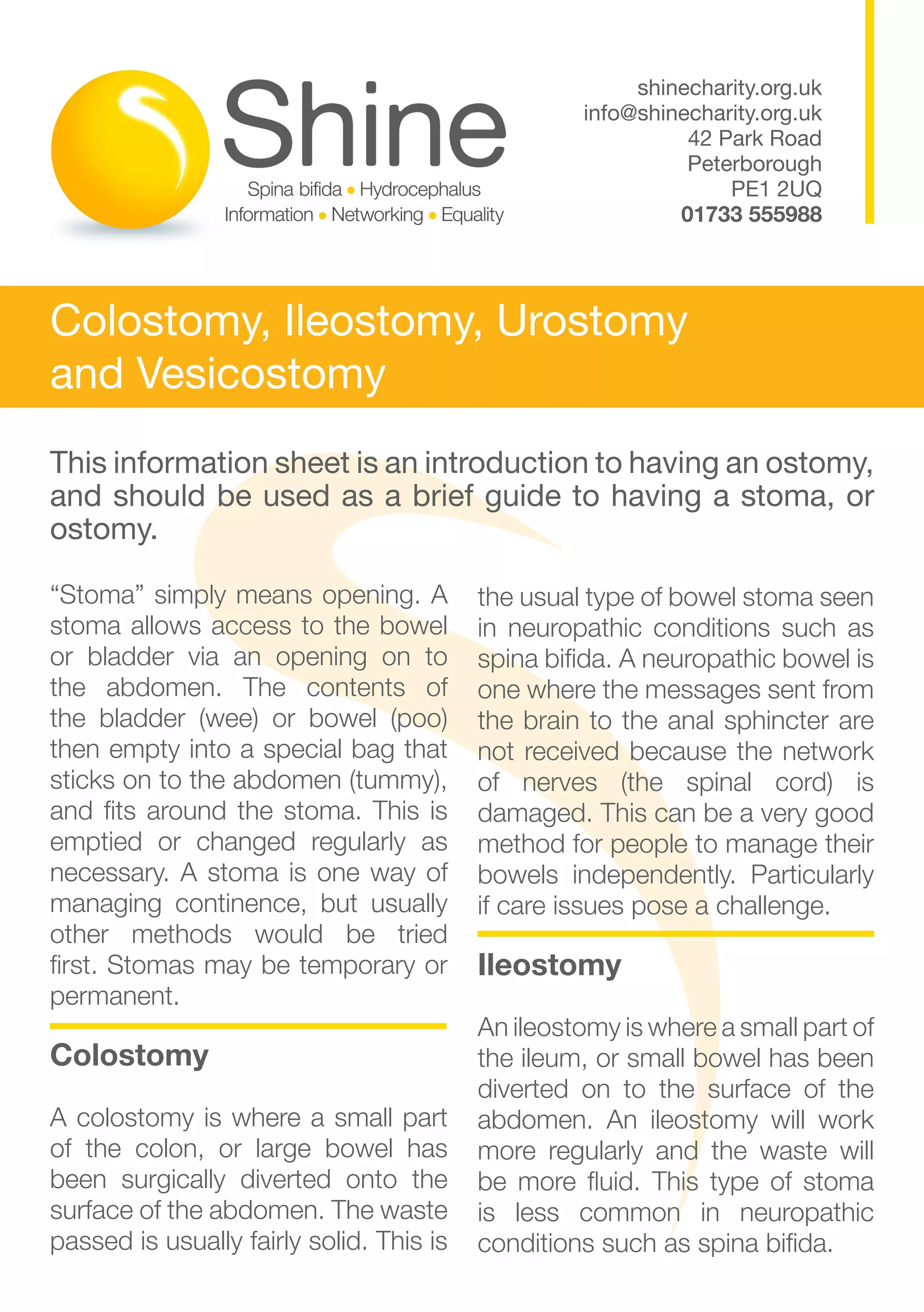 Colostomy ileostomy urostomy vesicostomy | PDF
