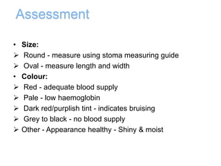 Colostomy care | PPTX | Digestive Disorders | Diseases and Conditions
