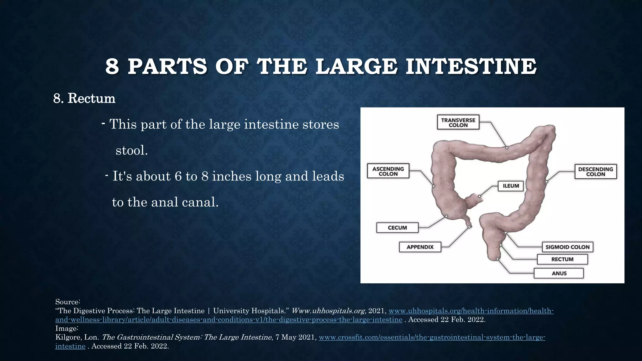 COLOSTOMY CARE | PPTX