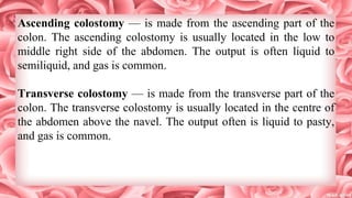 Colostomy care : Nursing management | PDF