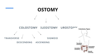 MBBS SURGERY TOPIC - COLOSTOMY (STOMA).pptx