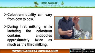 Colostrum - Types, Cow Colostrum, Health Benefits & Facts | PPTX