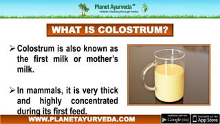 Colostrum - Types, Cow Colostrum, Health Benefits & Facts | PPTX
