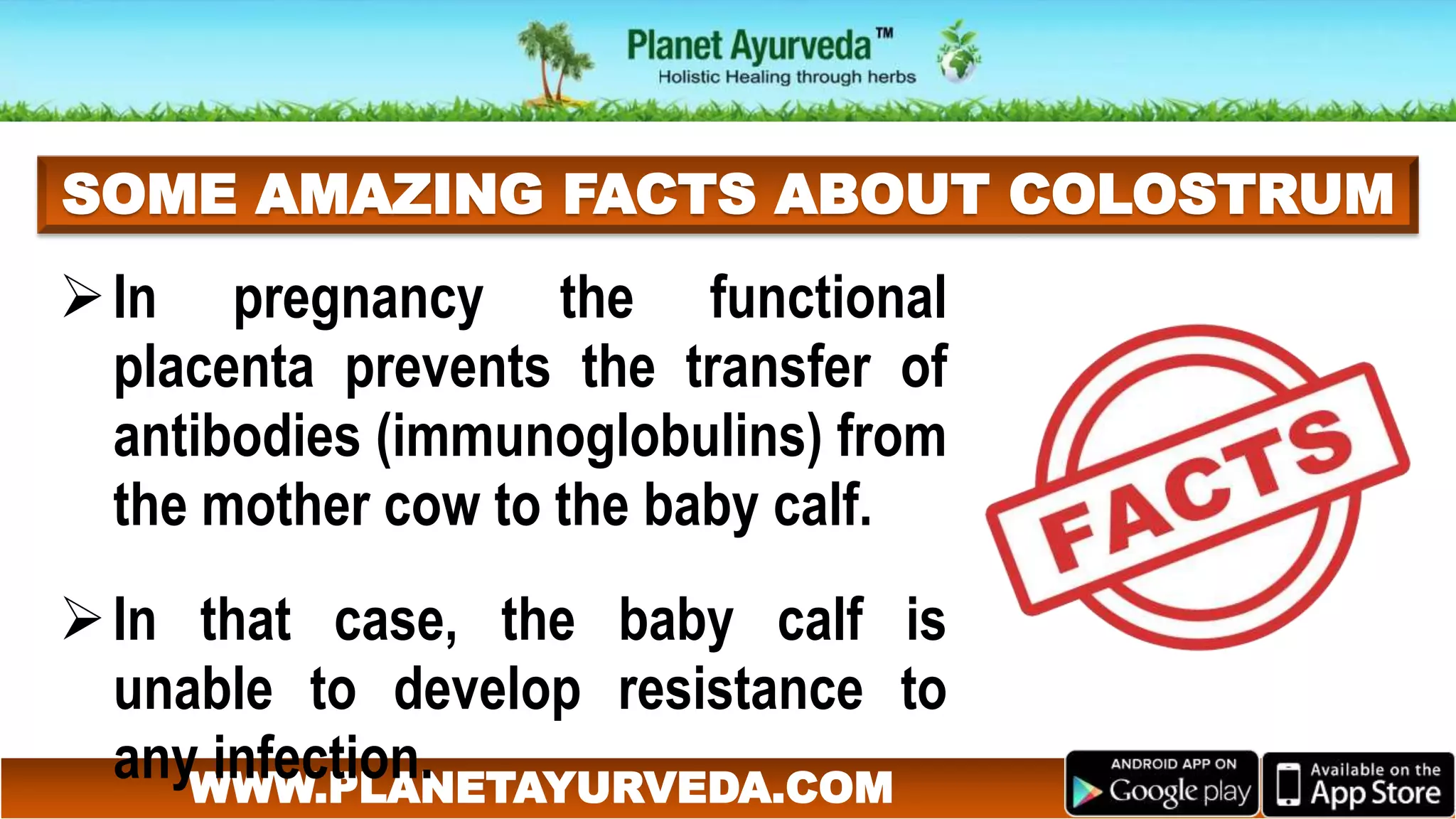 Proven Health Benefits Of Cow Colostrum - Boost Your Immune System | PPT