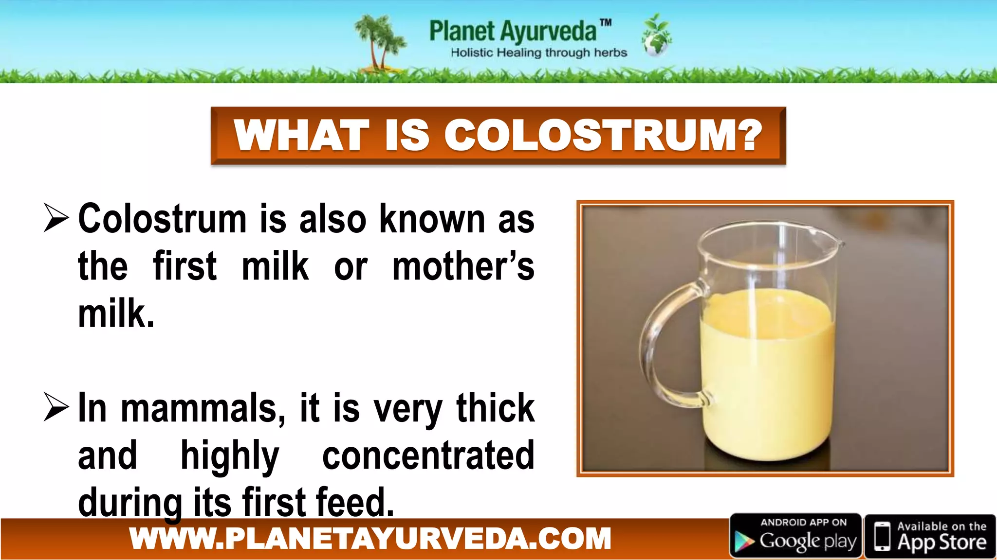 Proven Health Benefits Of Cow Colostrum - Boost Your Immune System | PPT