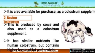 Proven Health Benefits Of Cow Colostrum - Boost Your Immune System | PPT