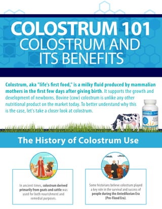 Colostrum 101: What is Colostrum? | PDF