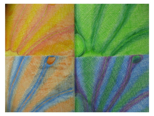 Colour and fruit | PPT | Drawing and Sketching | Arts and Crafts