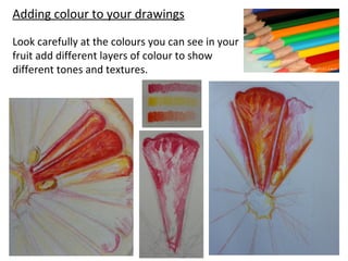 Colour and fruit | PPT