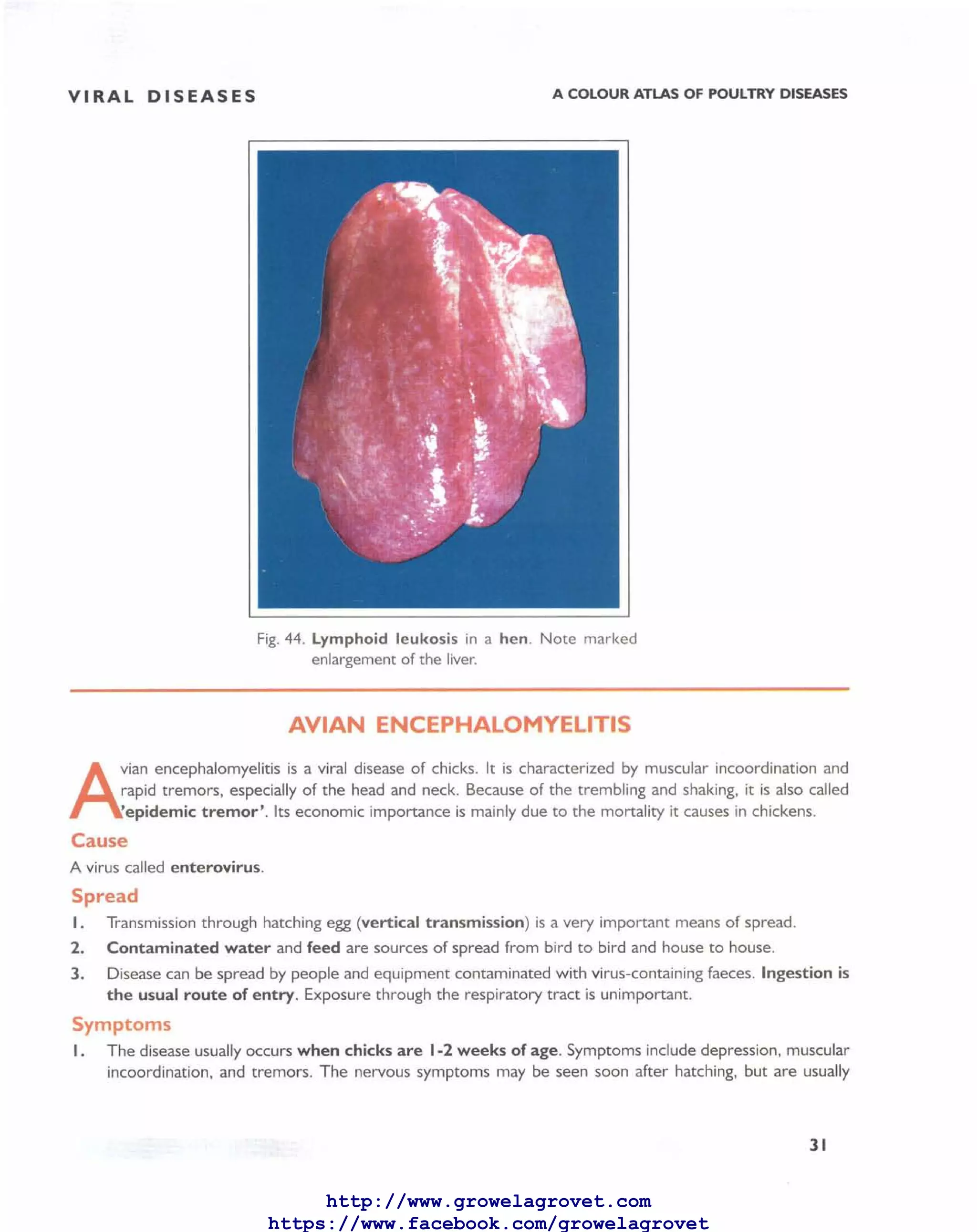 A Colour Atlas of Poultry Diseases. | PDF