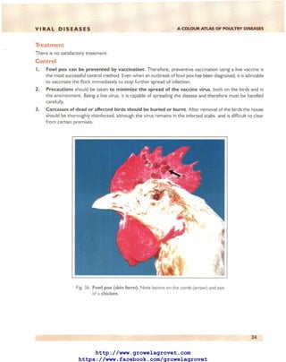 A Colour Atlas of Poultry Diseases. | PDF