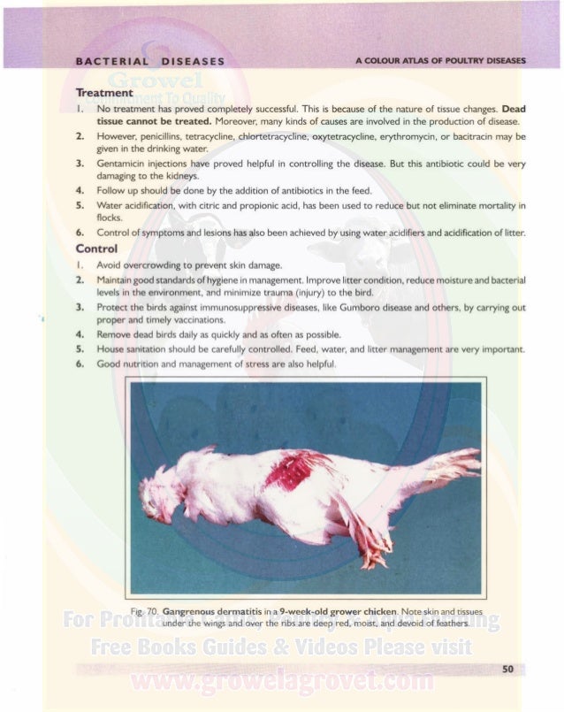 A Colour Atlas of Poultry Diseases.