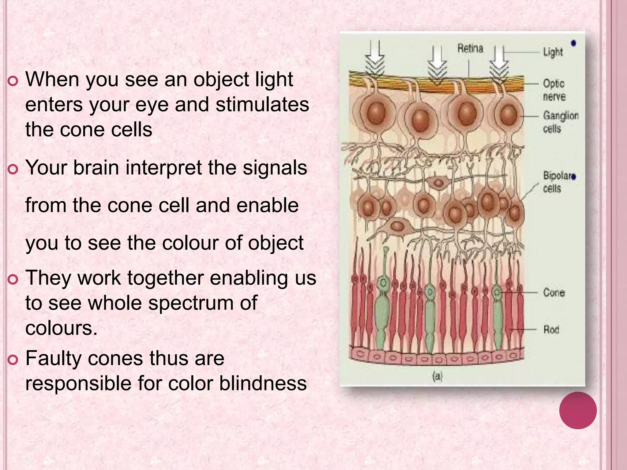 Colour blindness ppt by meera qaiser | PPTX