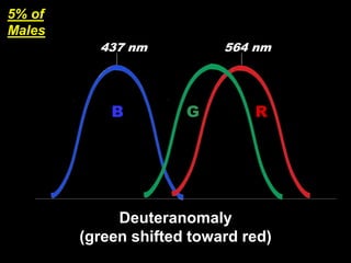 Colour blindness | PPTX