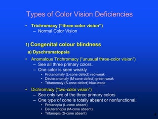 Colour blindness | PPTX