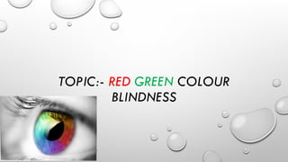 colour blindness practical in genetics ppt.pptx