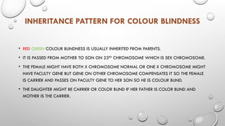 colour blindness practical in genetics ppt.pptx