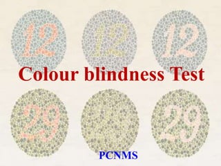 Colour blindness test | PPSX