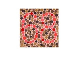 Colour blindness test | PPT