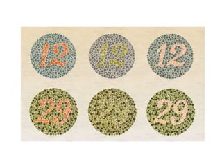 Colour blindness test