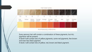 Colourcorrection level 3 | PPTX
