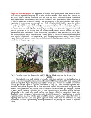 Colourful Vegetables and Their Importance in Commercial Vegetable ...