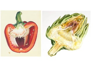 Colour fruit schemes 2019 | PPT