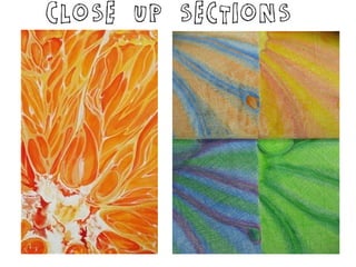 Colour fruit schemes 2019 | PPT