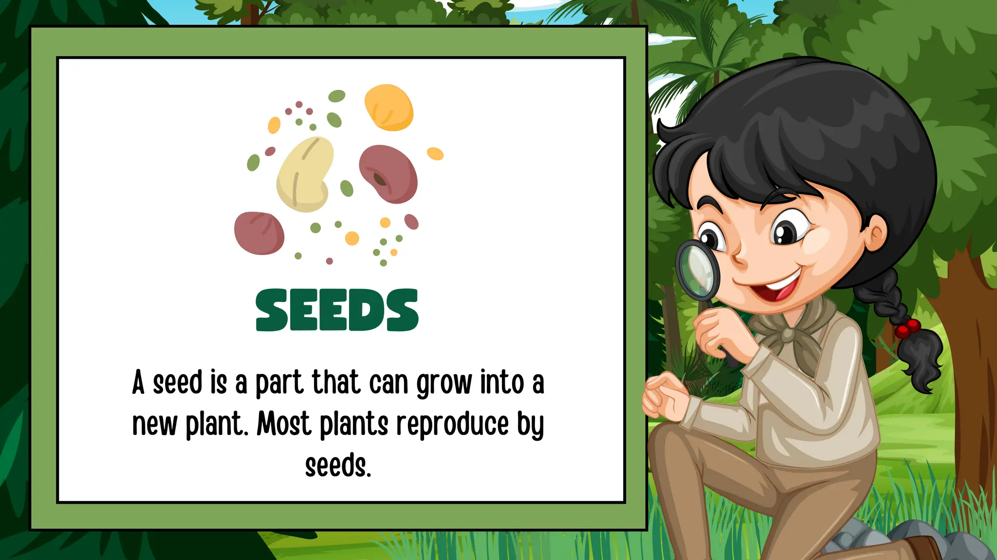 GardenGik excited to share for kids, what is plant and parts of the ...