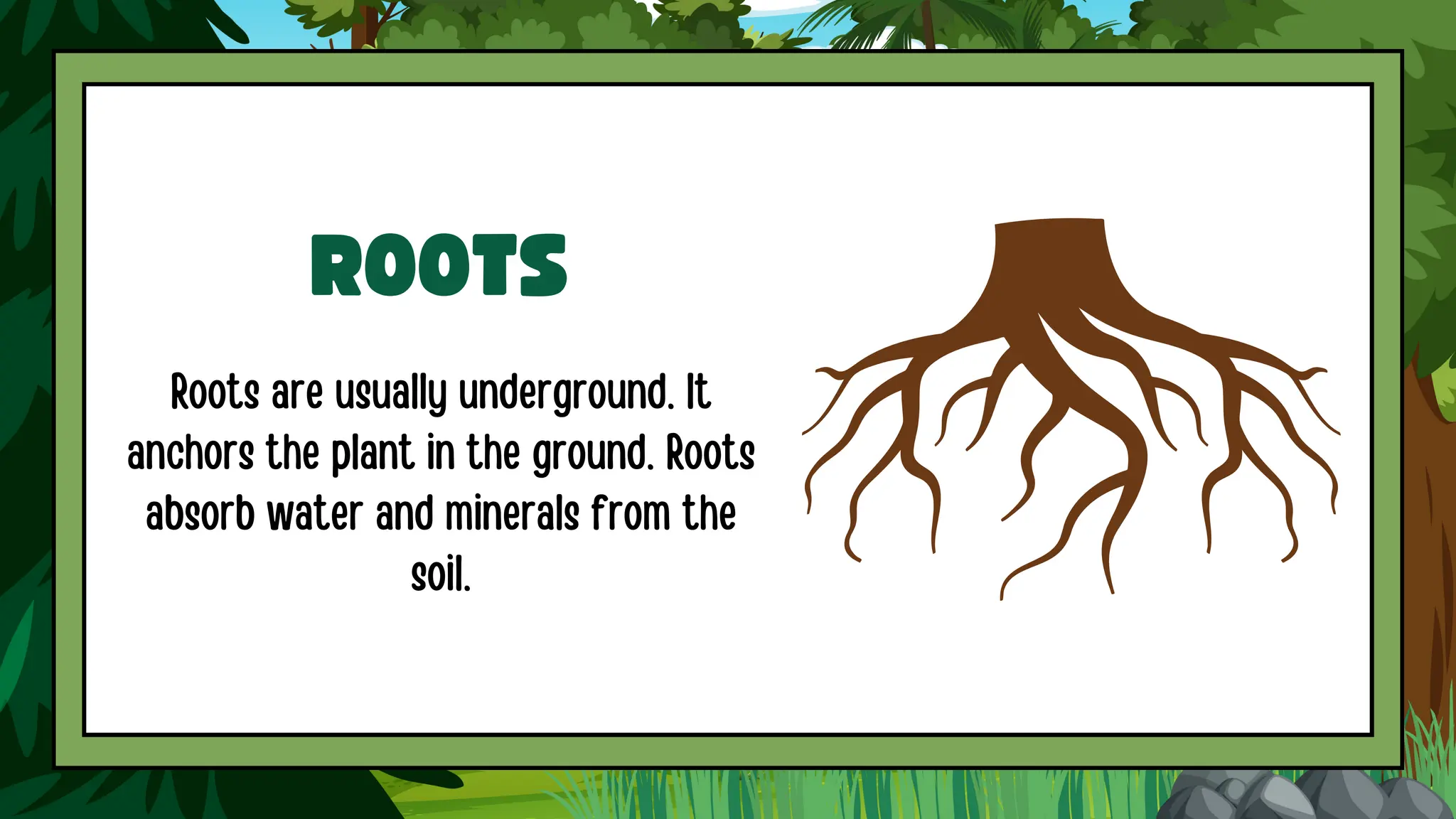 GardenGik excited to share for kids, what is plant and parts of the ...