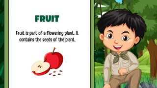 GardenGik excited to share for kids, what is plant and parts of the ...