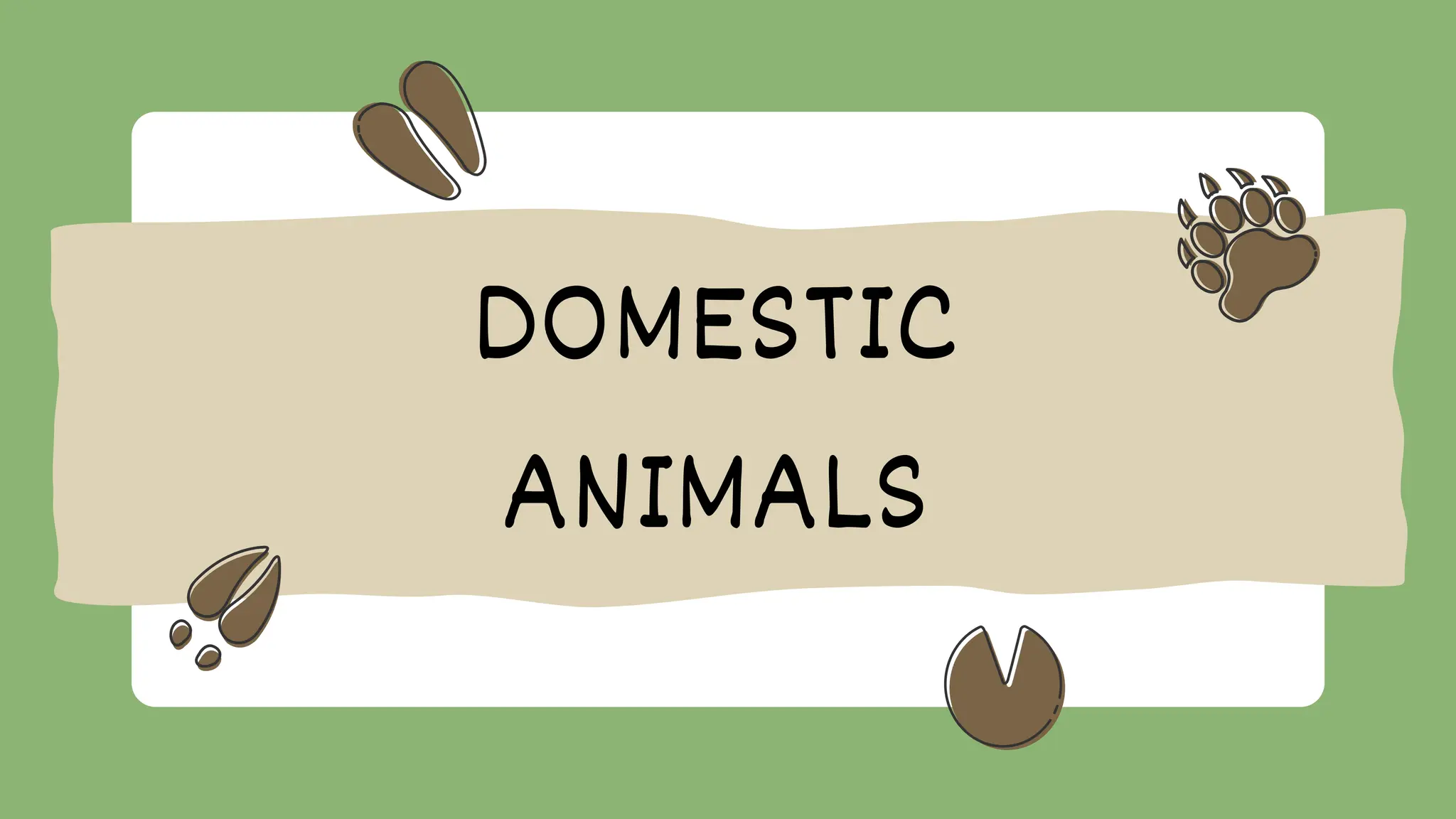 Colourful Observe and Compare Traits in Animals Science Activity-3.pdf