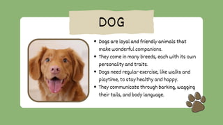 Colourful Observe and Compare Traits in Animals Science Activity-3.pdf