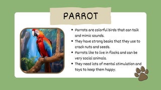 Colourful Observe and Compare Traits in Animals Science Activity-3.pdf