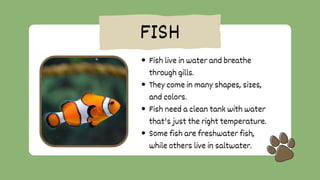 Colourful Observe and Compare Traits in Animals Science Activity-3.pdf