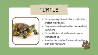 Colourful Observe and Compare Traits in Animals Science Activity-3.pdf