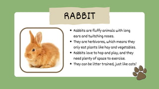 Colourful Observe and Compare Traits in Animals Science Activity-3.pdf
