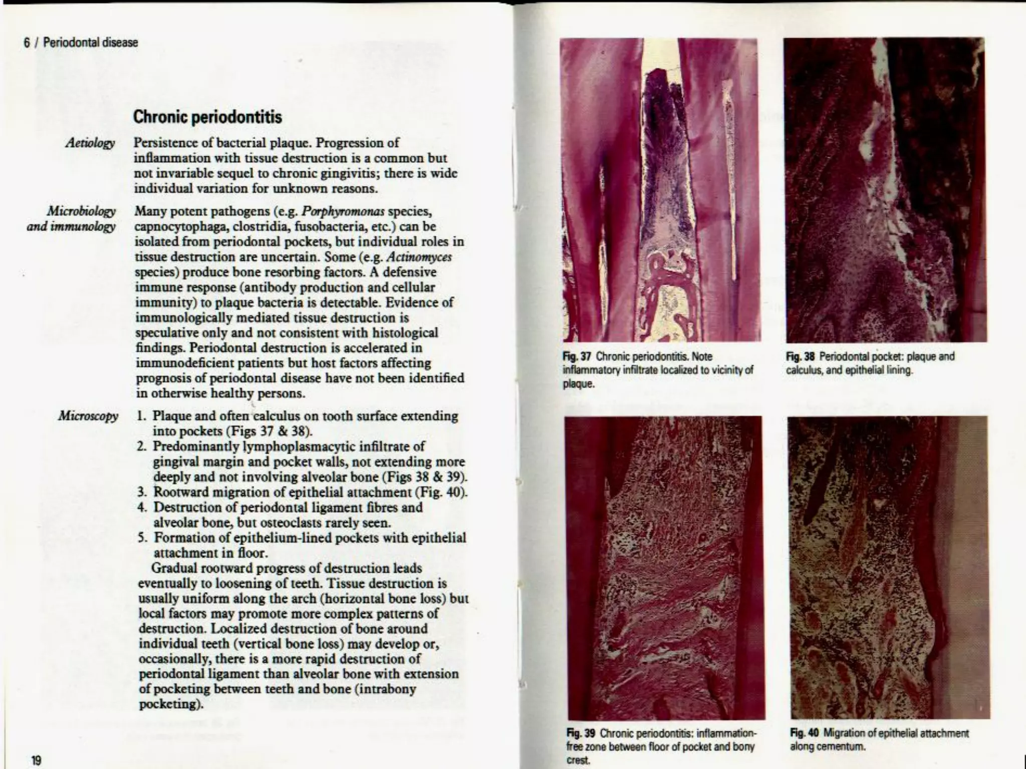 Colour guide of oral pathology | PPT
