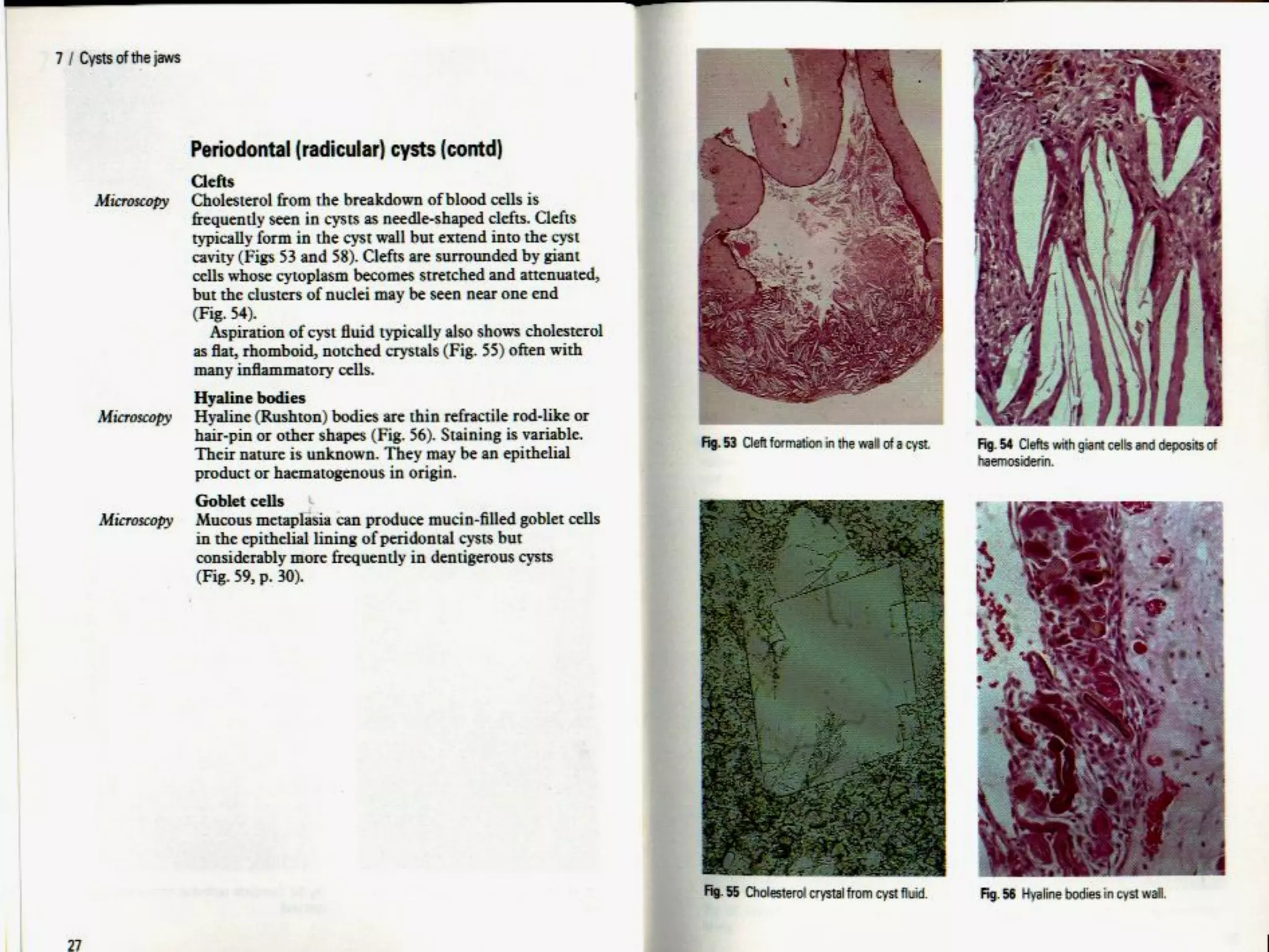 Colour guide of oral pathology | PPT