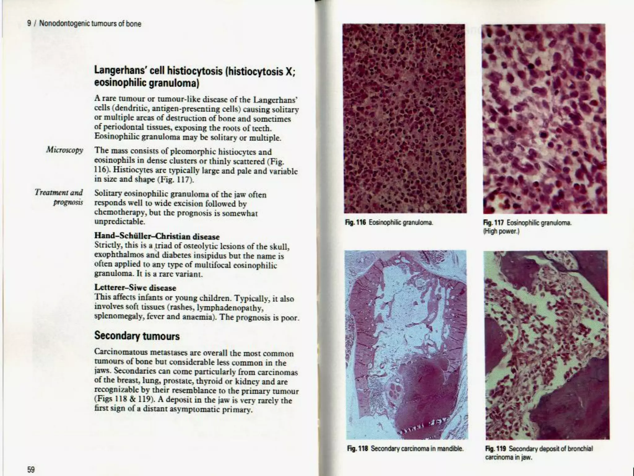 Colour guide of oral pathology | PPT