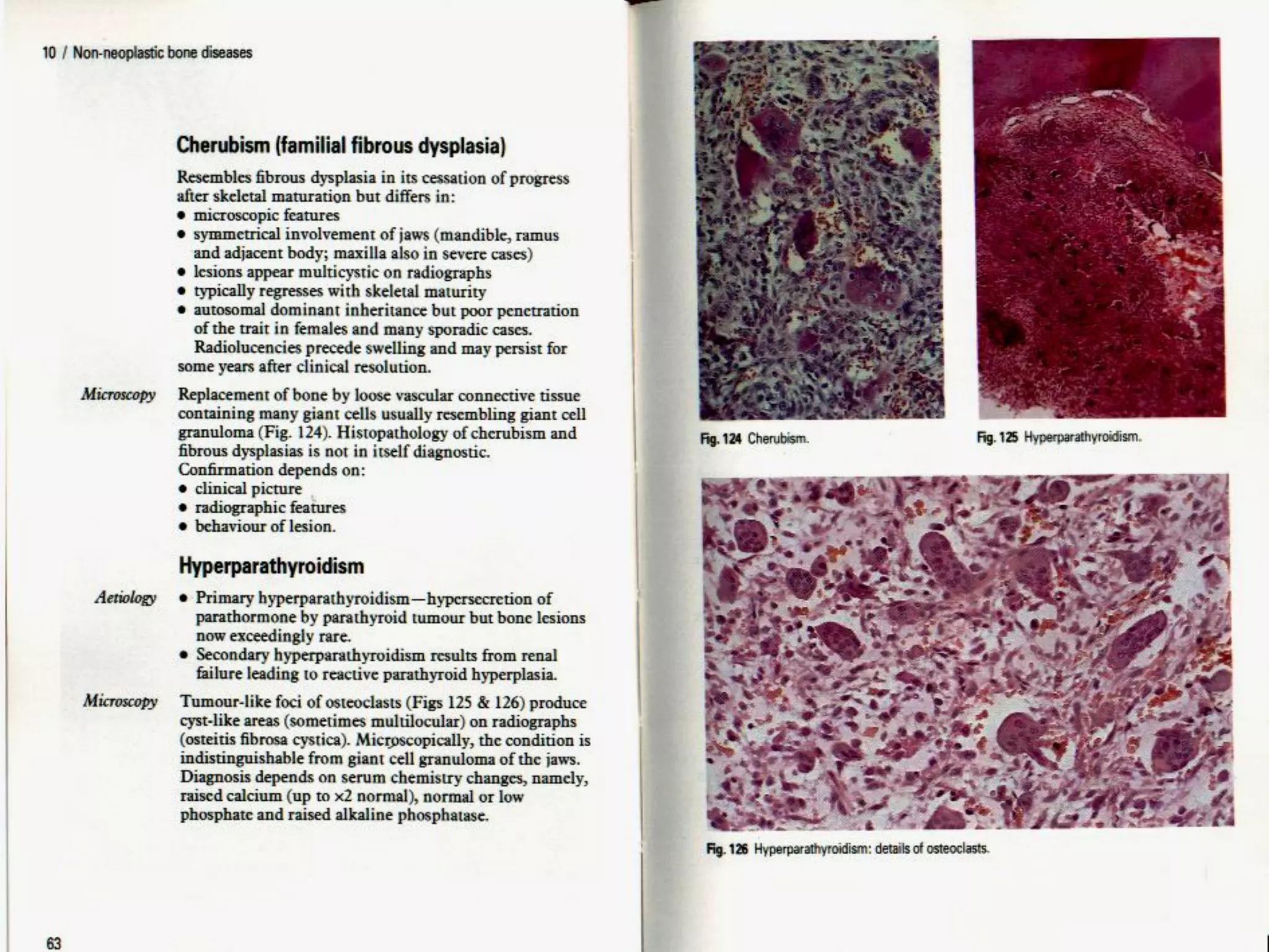 Colour guide of oral pathology | PPT