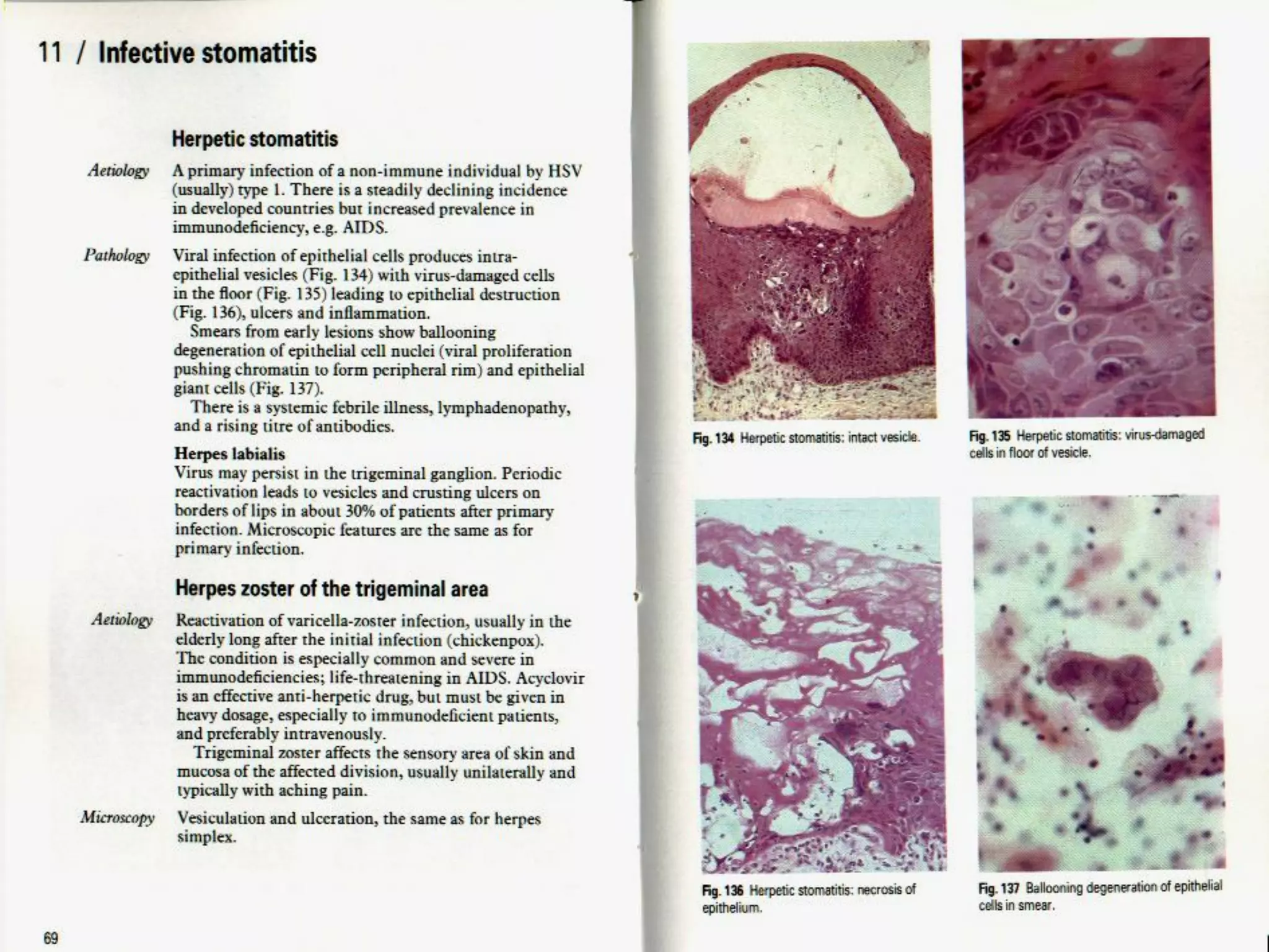 Colour guide of oral pathology | PPT
