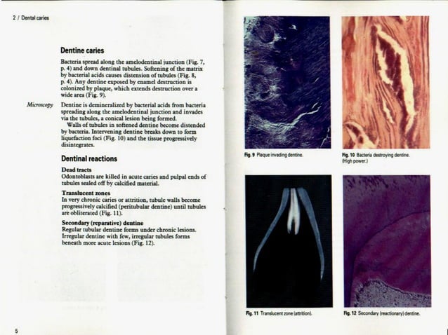 Colour guide of oral pathology | PPT