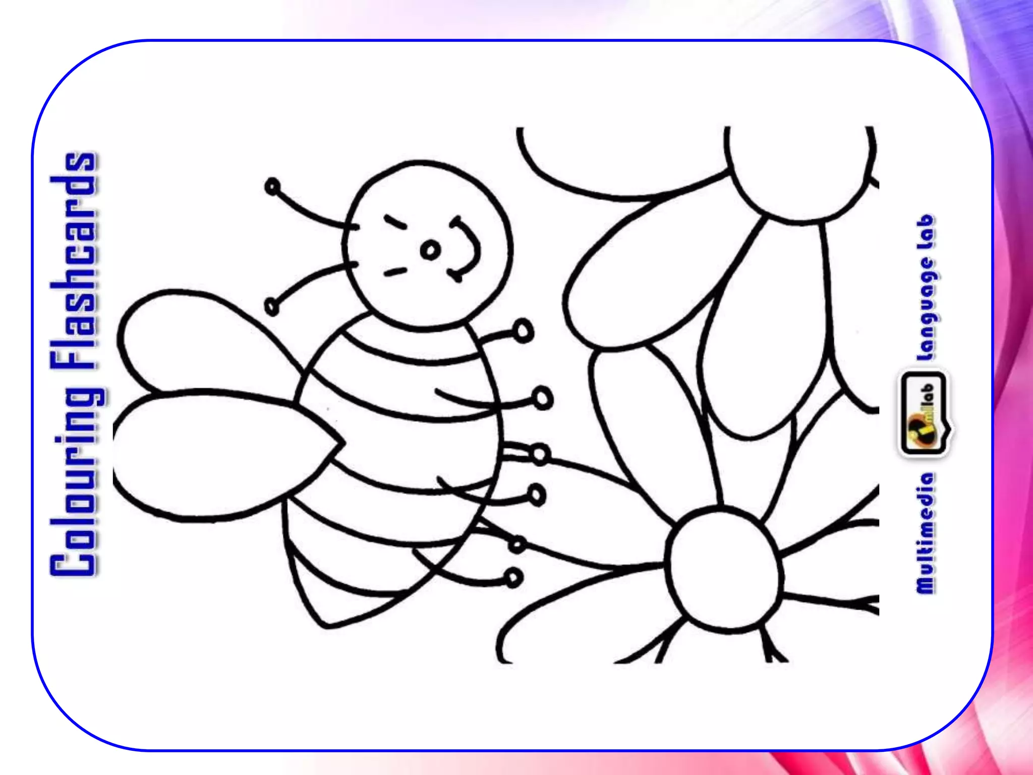 Colouring flashcards 2 | PPT