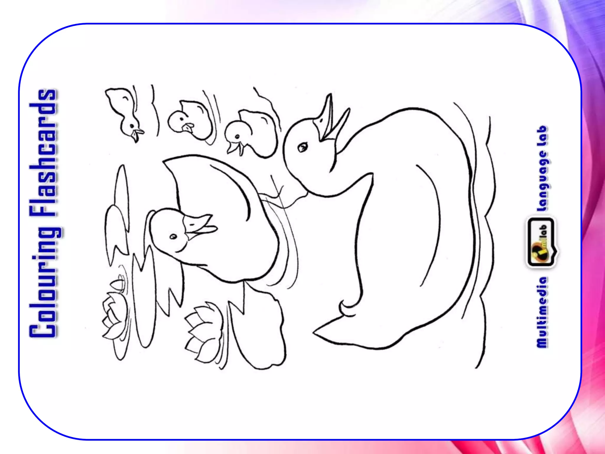 Colouring flashcards 2 | PPT