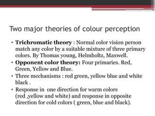 Colour & its role in occupation (3b).pptx
