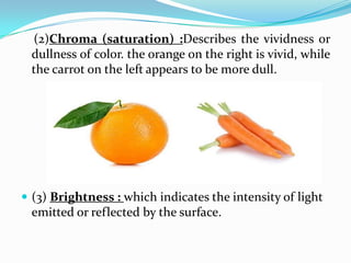 Color vision : introduction, classification, causes | PDF
