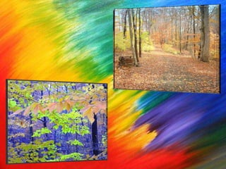 Colour my world | PPT