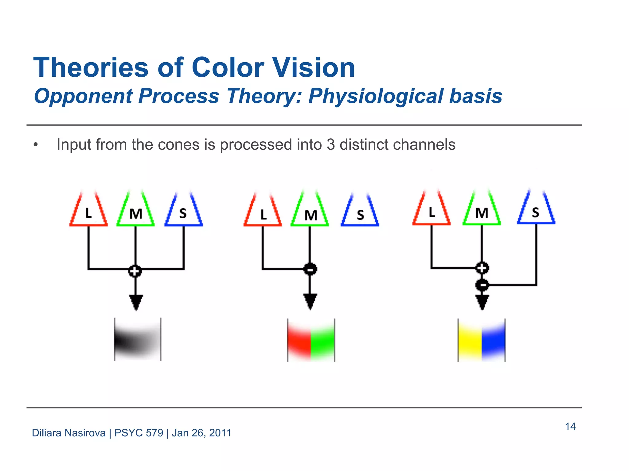 Colour perception | PDF