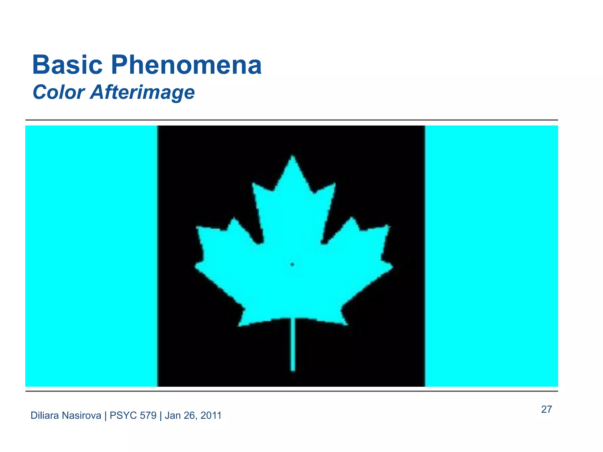 Colour perception | PDF